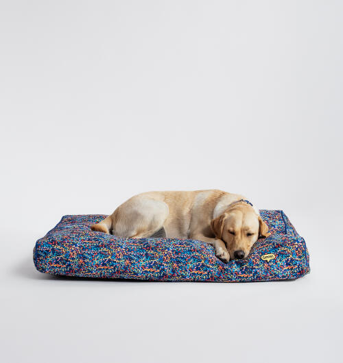 Coussin pour chien | Omlet