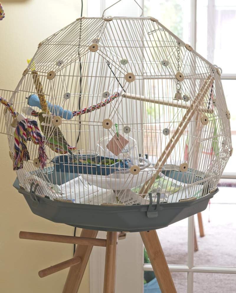 Cage à oiseaux Geo | Une magnifique cage en dôme pour vos oiseaux