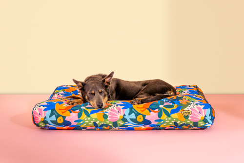 Coussin pour chien | Omlet