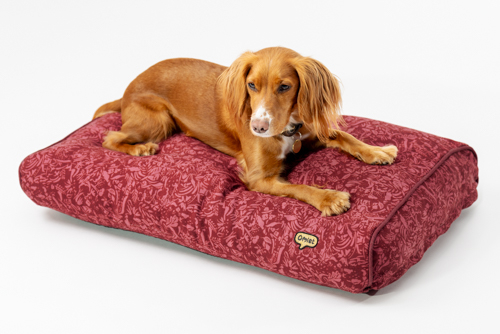 Coussin pour chien | Omlet