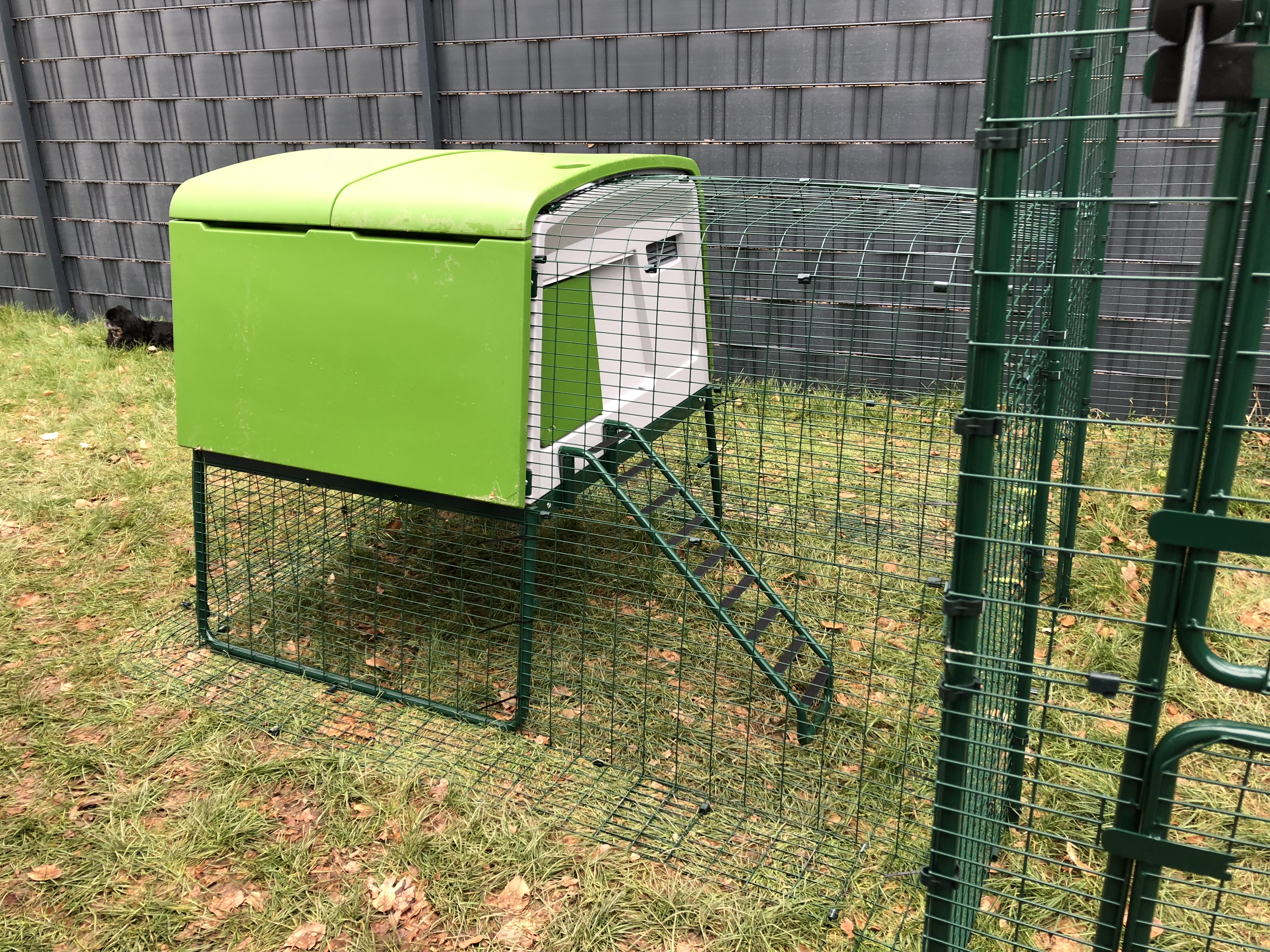 Nouveau Grand Poulailler Eglu Cube | Élevage des poules | Omlet