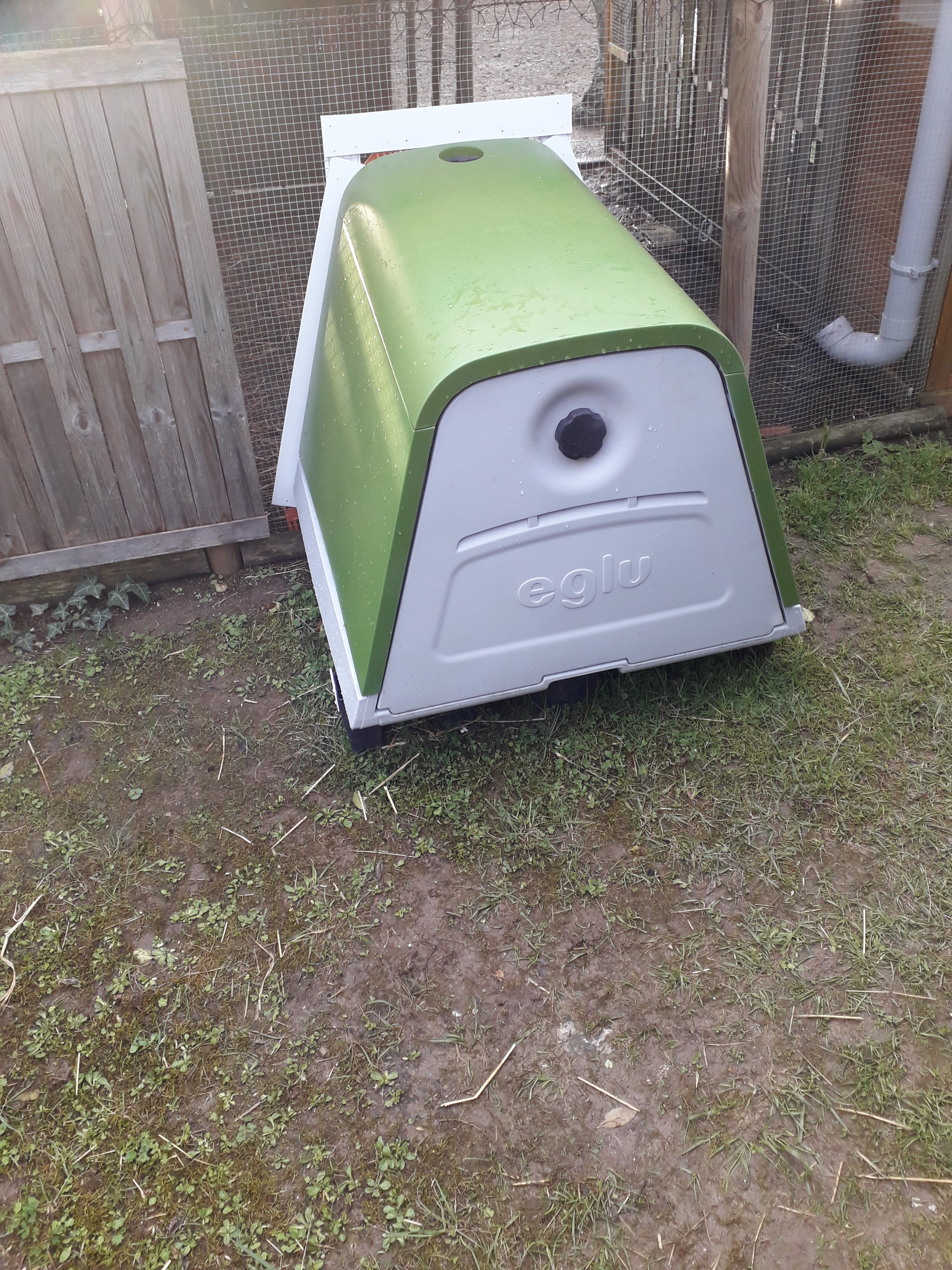 Poulailler Eglu Go | Élevage des poules | Omlet