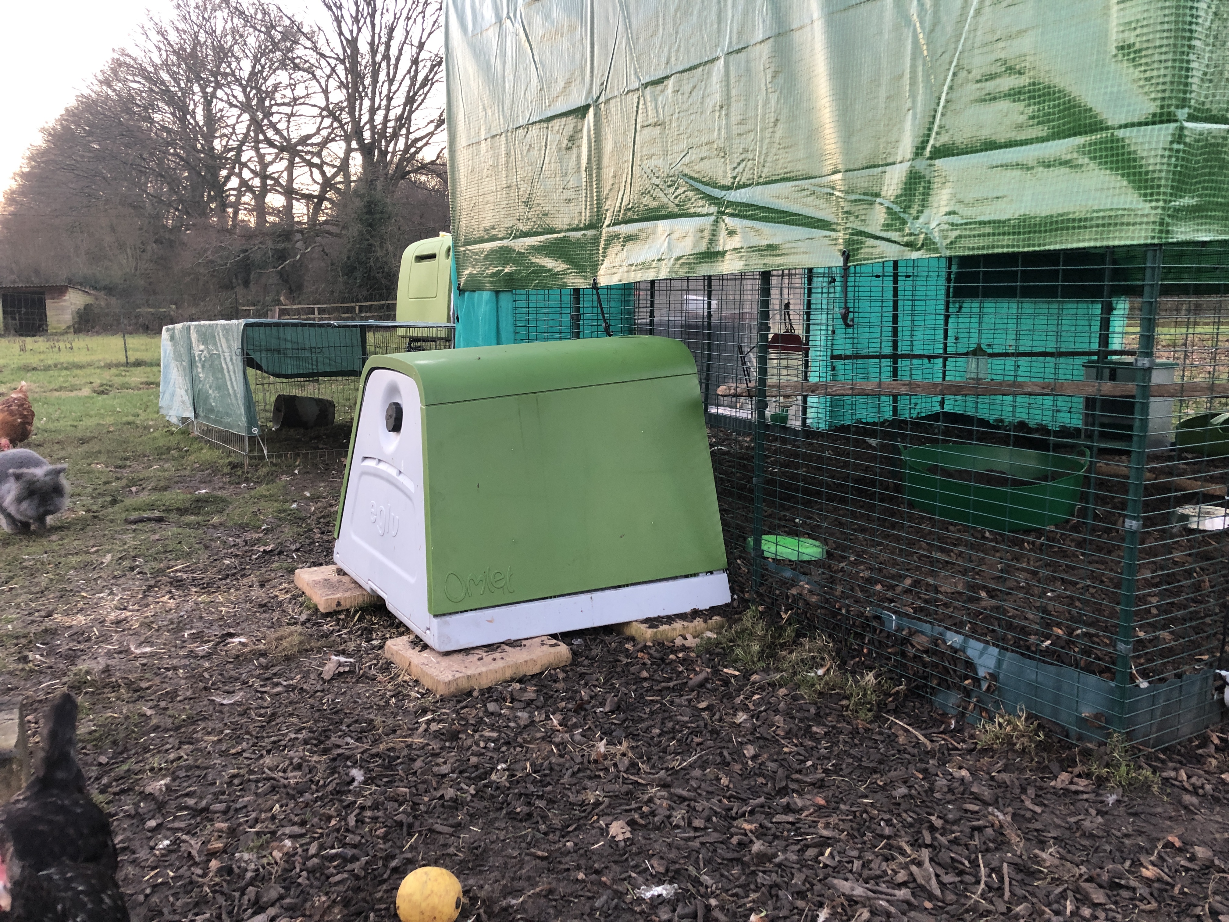 Poulailler Eglu Go | Poulaillers, Grand Enclos, Filet à poules et bien ...