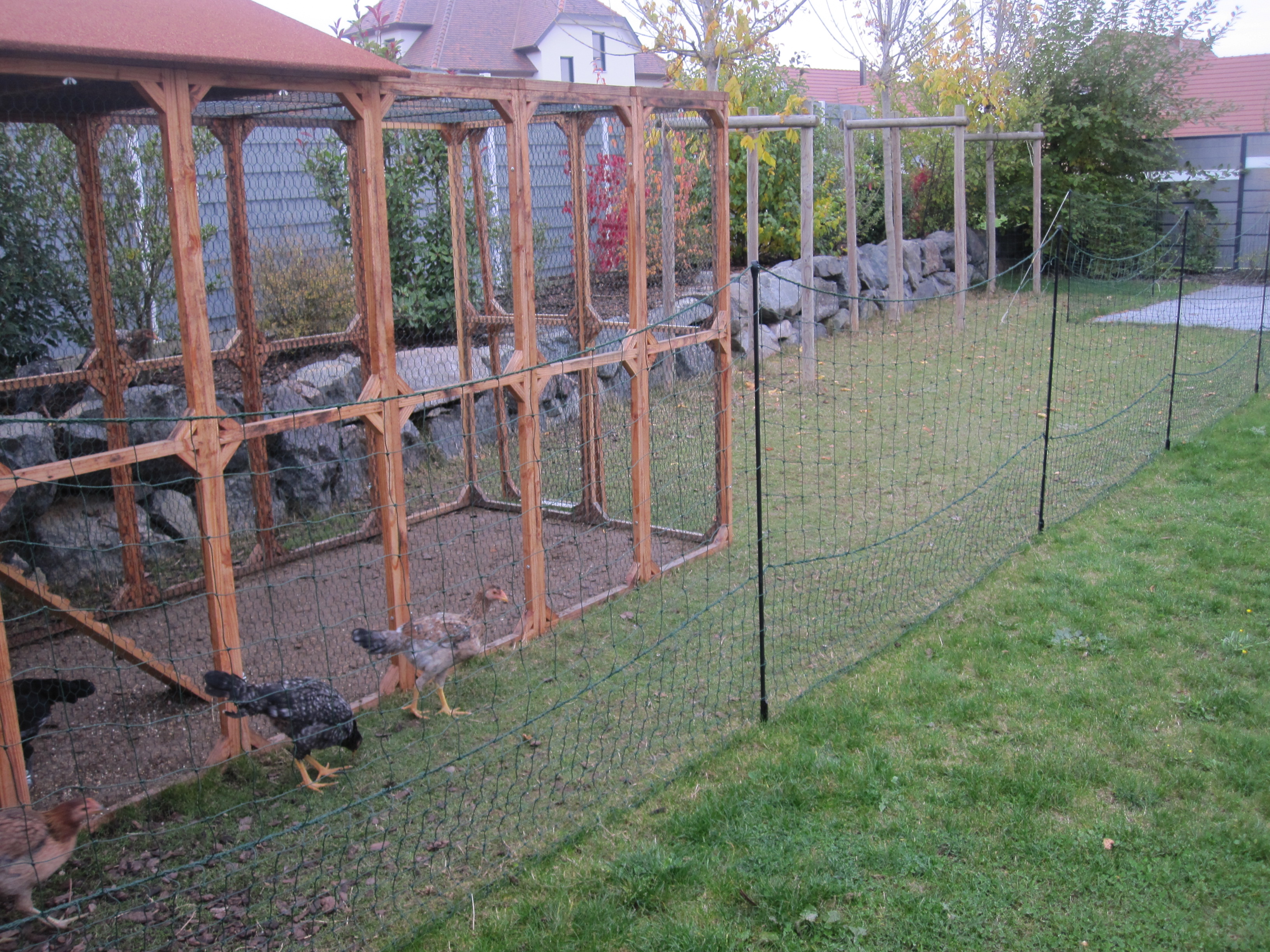 Filet à poules Omlet | Élevage des poules | Omlet