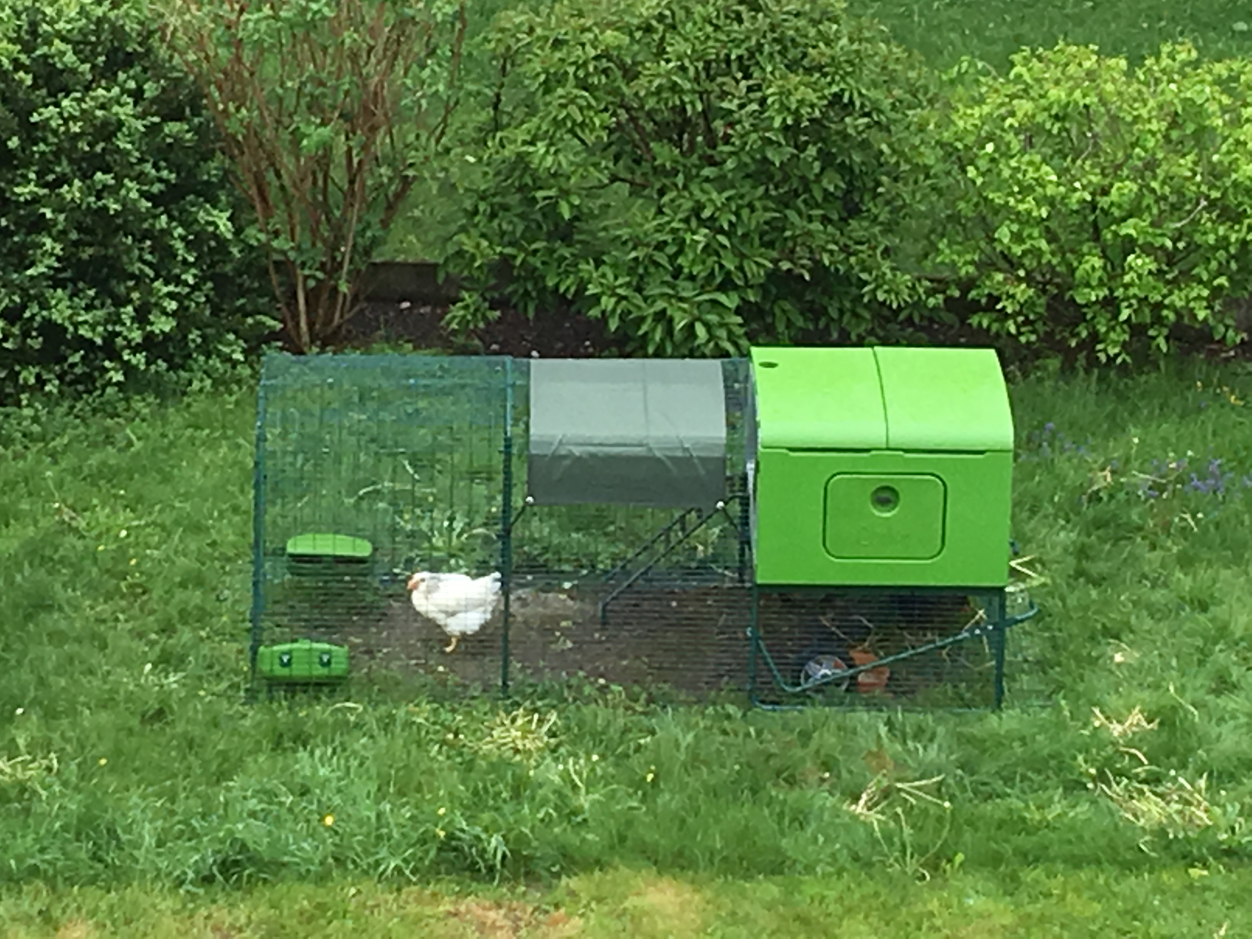 Filet à poule Omlet | Élevage des poules | Omlet