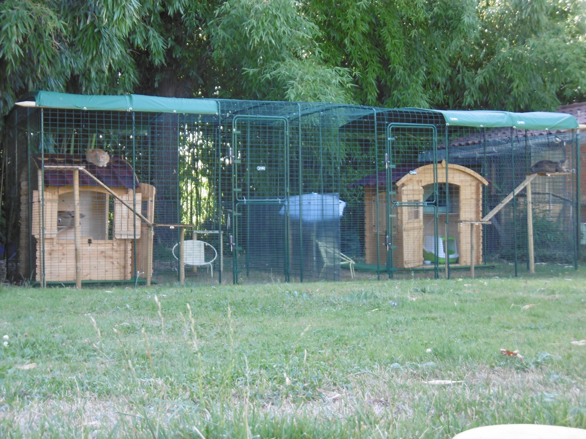 Grand Enclos Pour Poules | Poulaillers, Grand Enclos, Filet à poules et ...