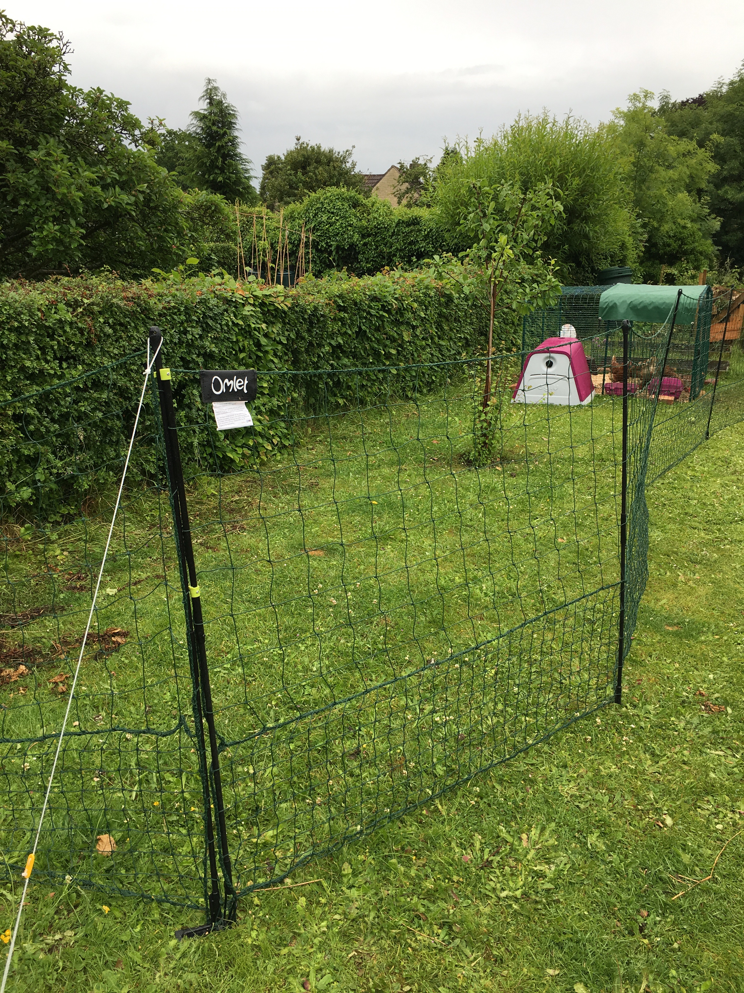 Filet à poules Omlet | Elevage des poules | omlet