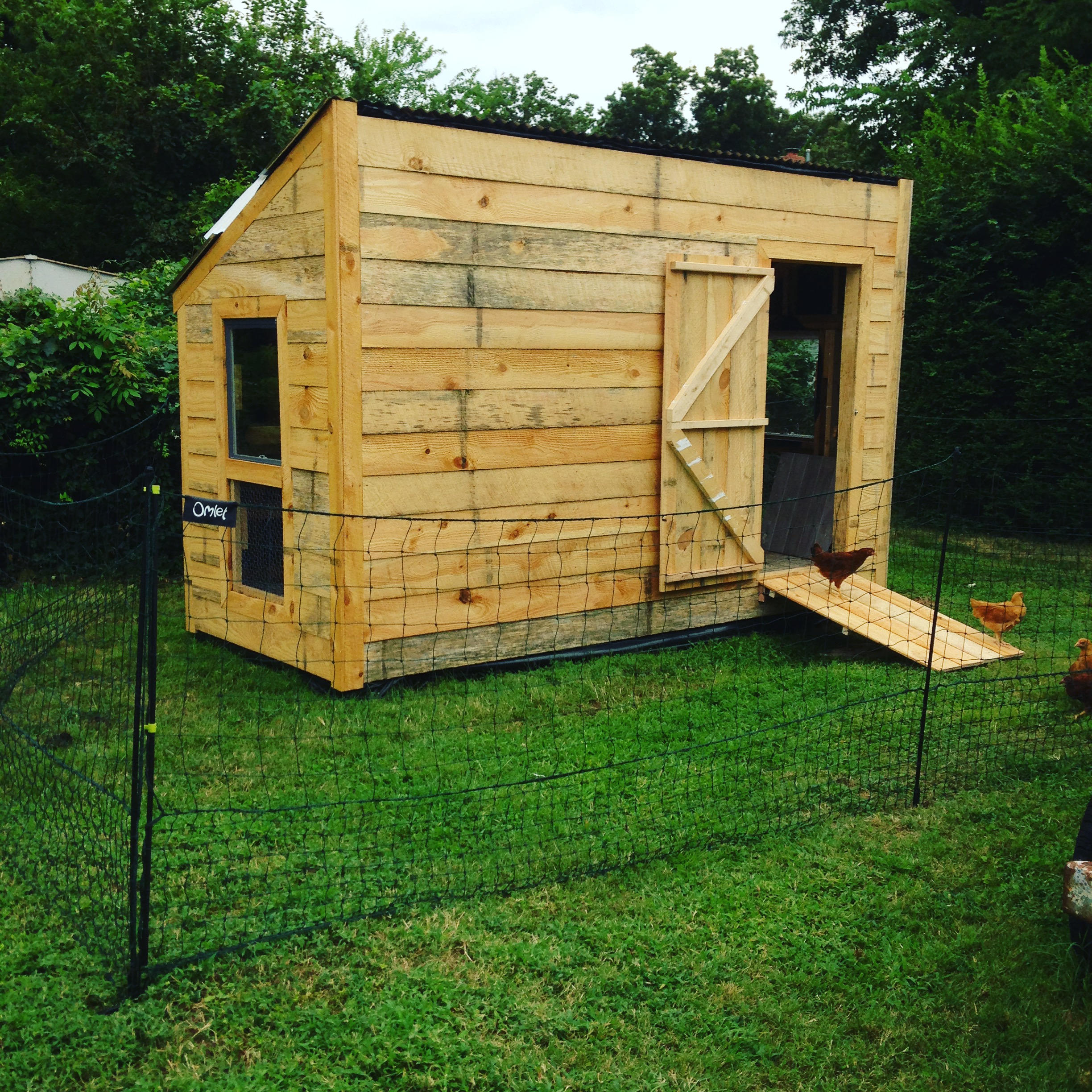 Filet à poules Omlet | Elevage des poules | omlet