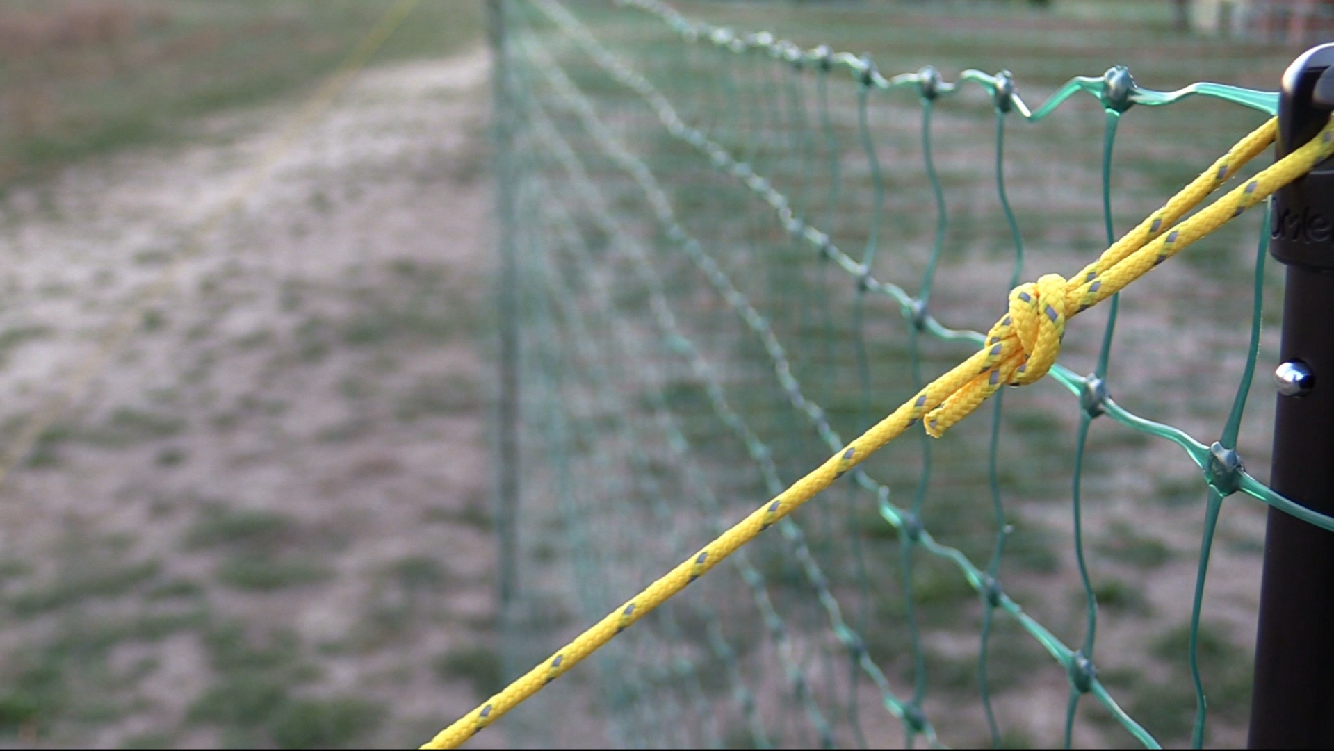 Filet à Poule Omlet | Poulaillers, Grand Enclos, Filet à poules et bien ...