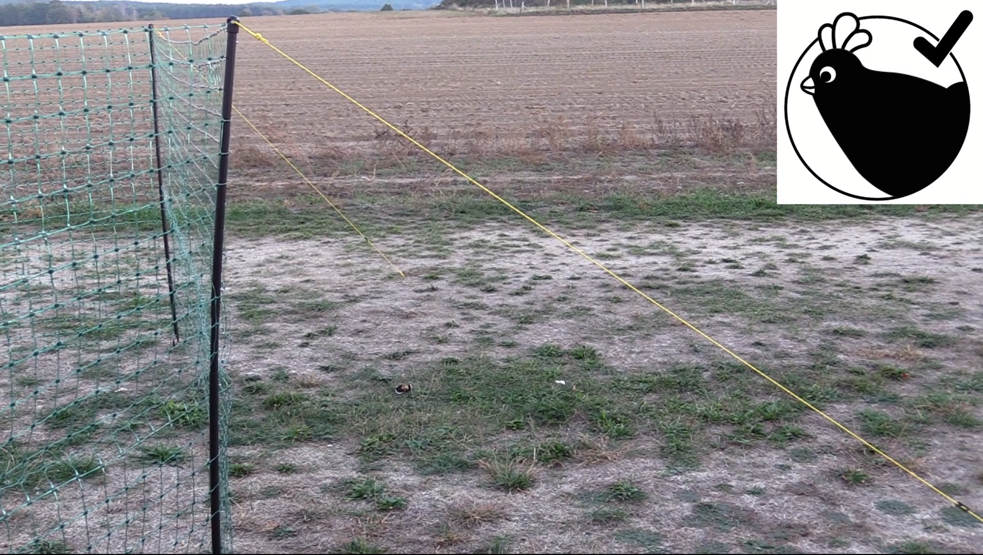 Filet à Poule Omlet | Poulaillers, Grand Enclos, Filet à poules et bien ...