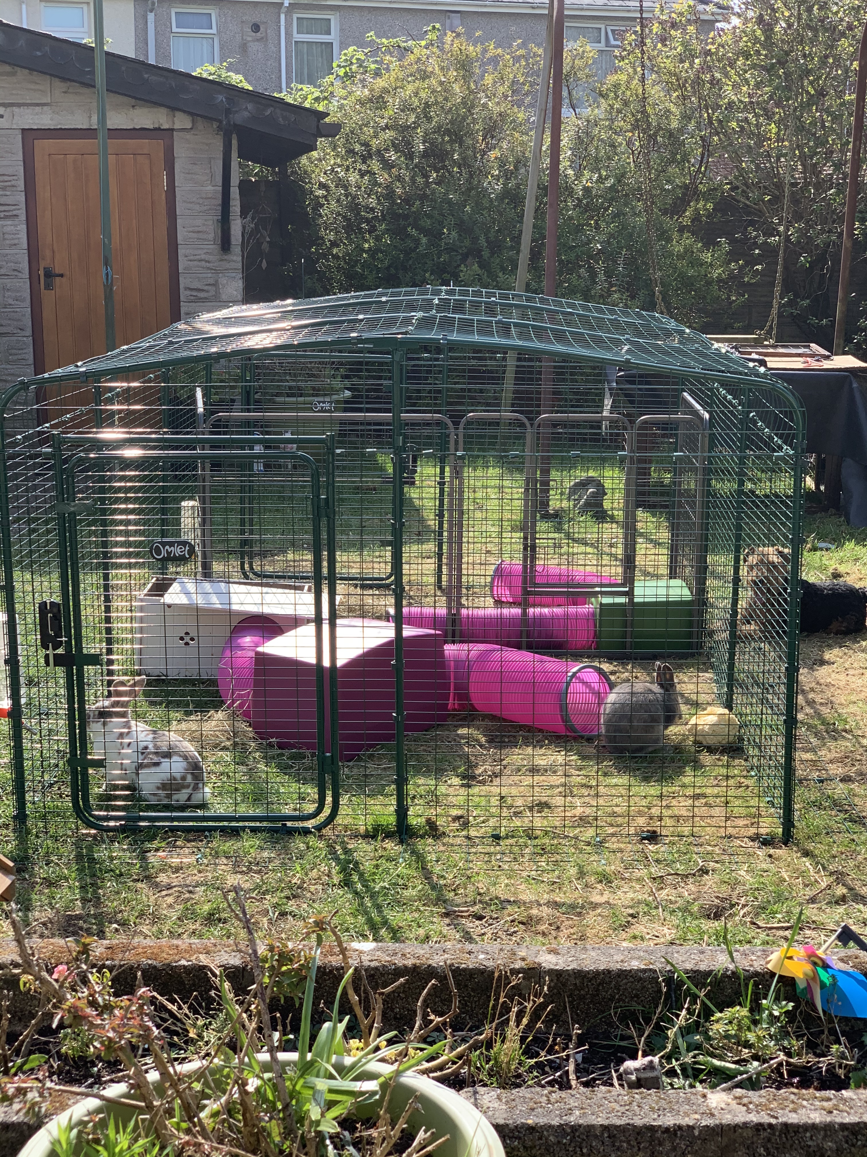 Galerie | Club | Omlet